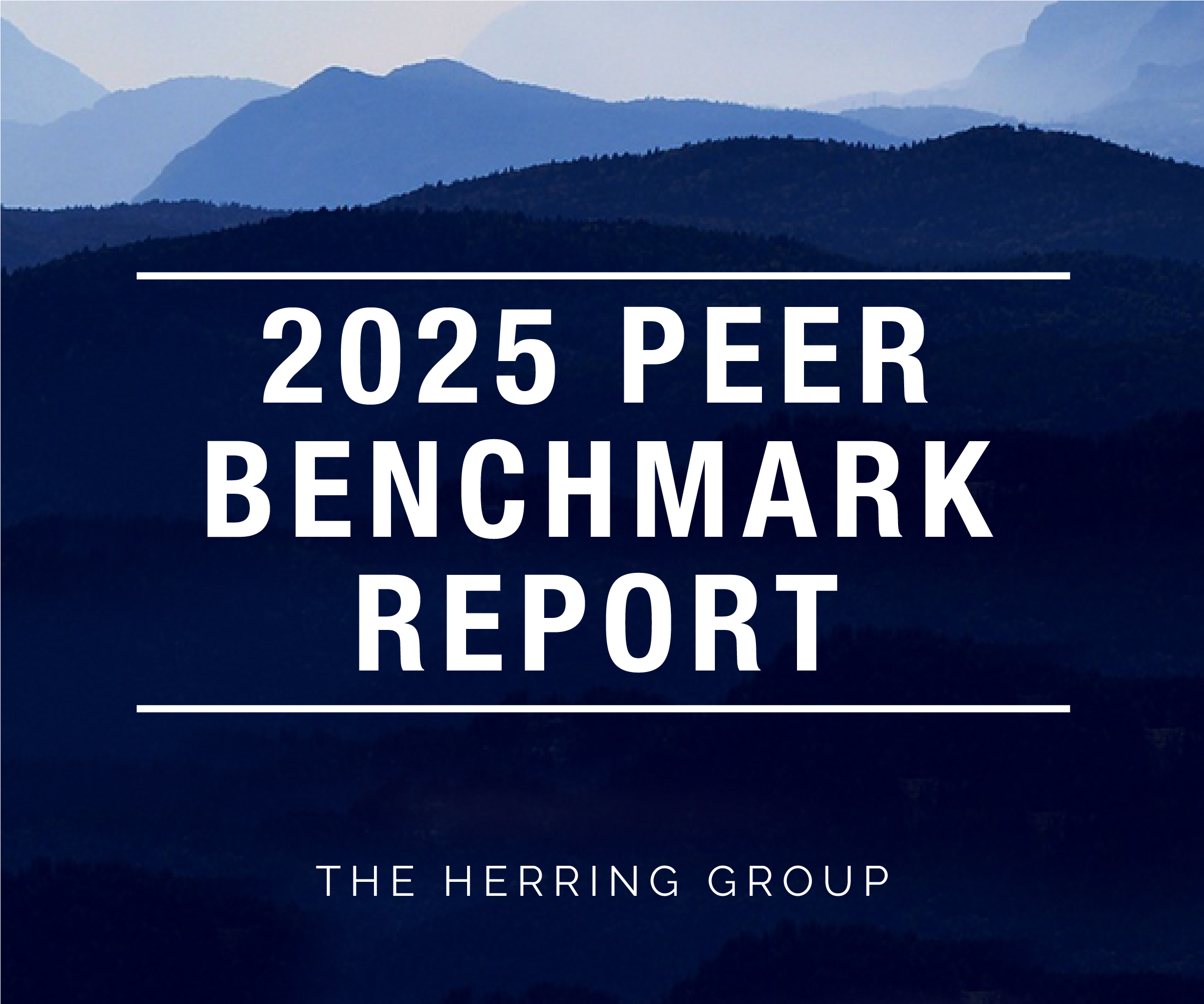 Benchmark Report 2025 v1 - The Herring Group